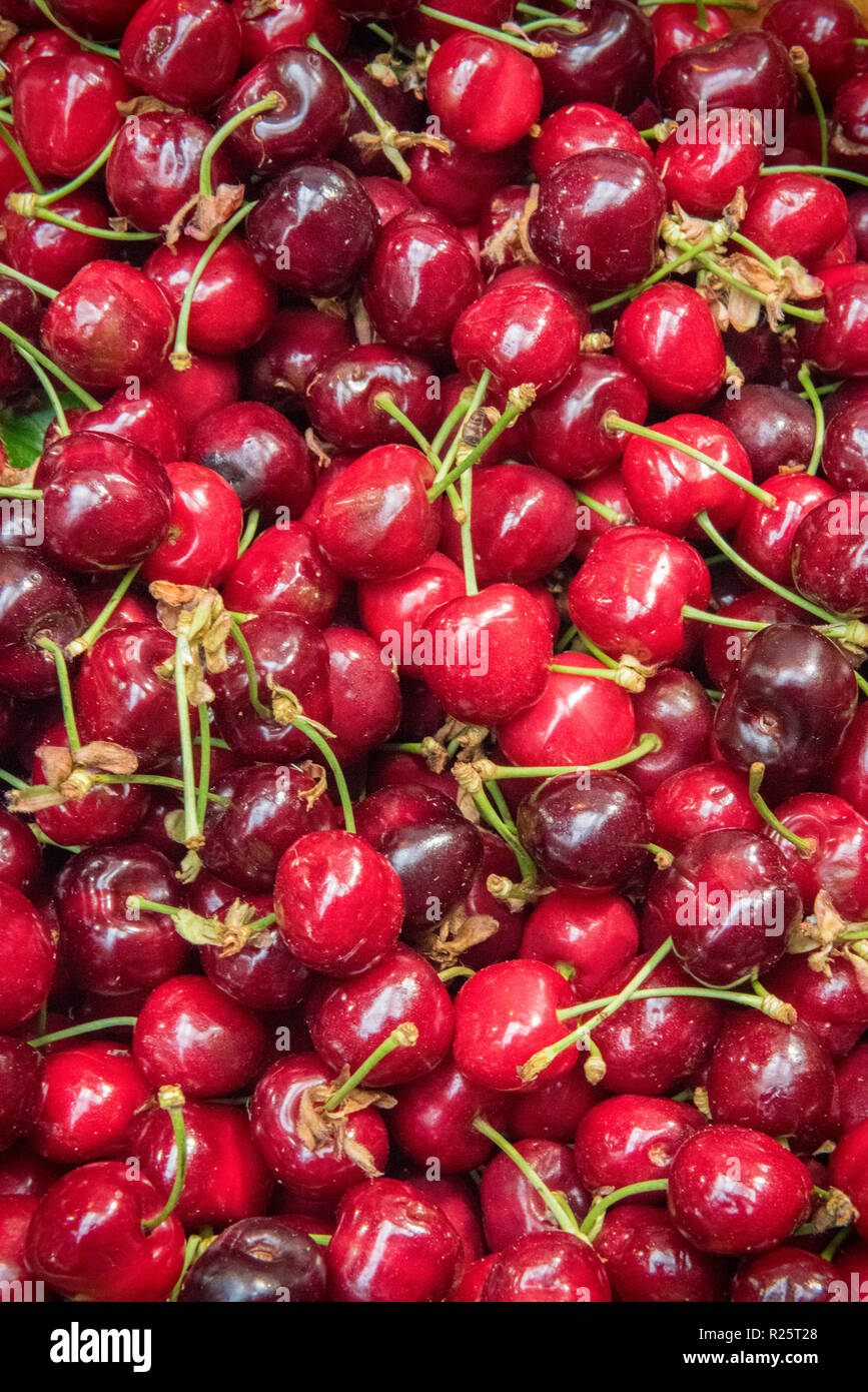 fresh red cherries with stalks on a market stall selling fresh ...