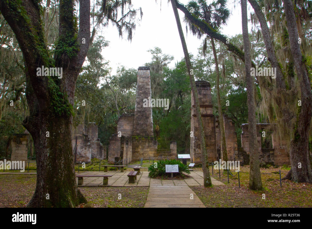 Bulow plantation hi-res stock photography and images - Alamy
