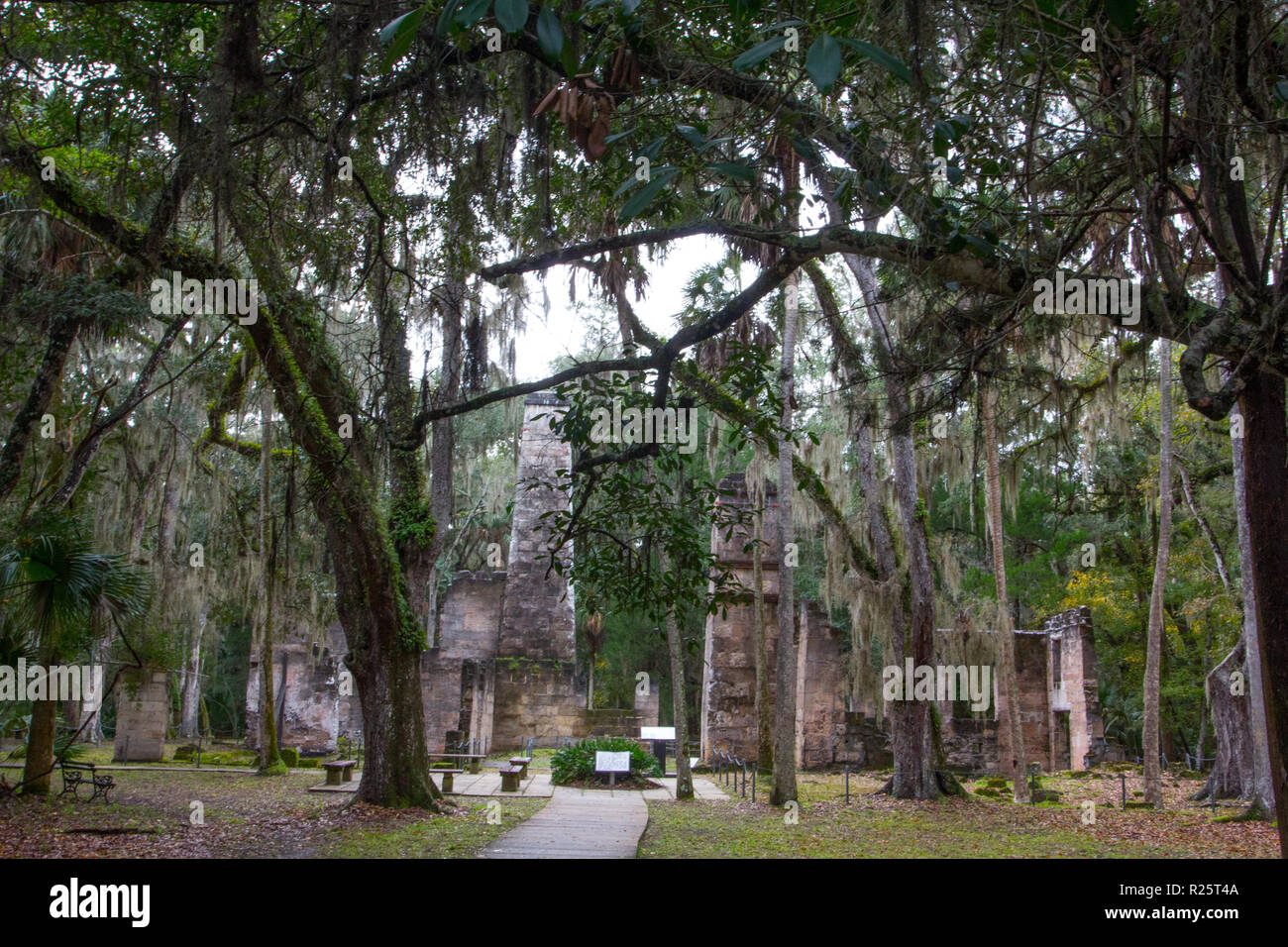 Bulow Plantation, Florida Stock Photo - Alamy