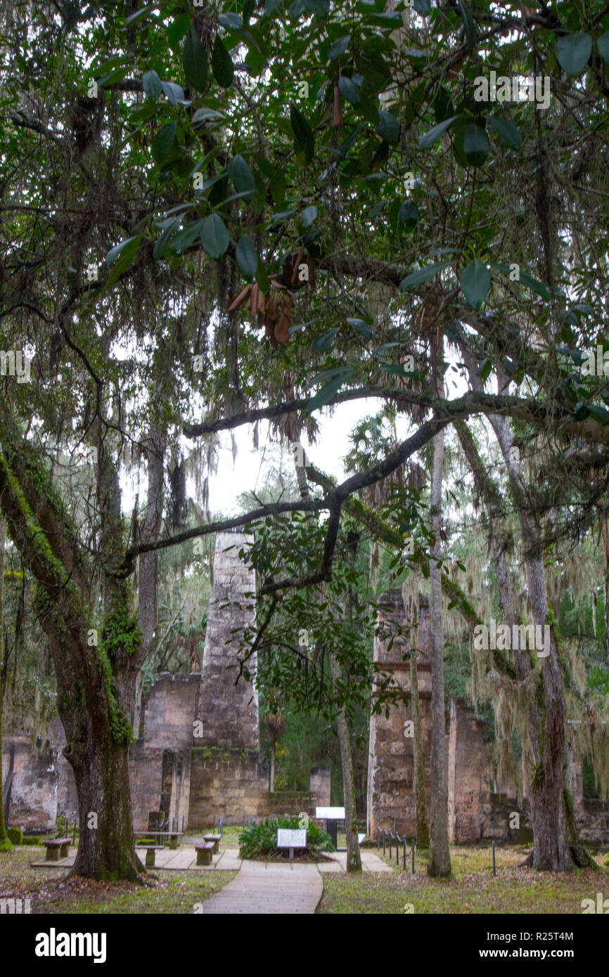 Bulow plantation hi-res stock photography and images - Alamy