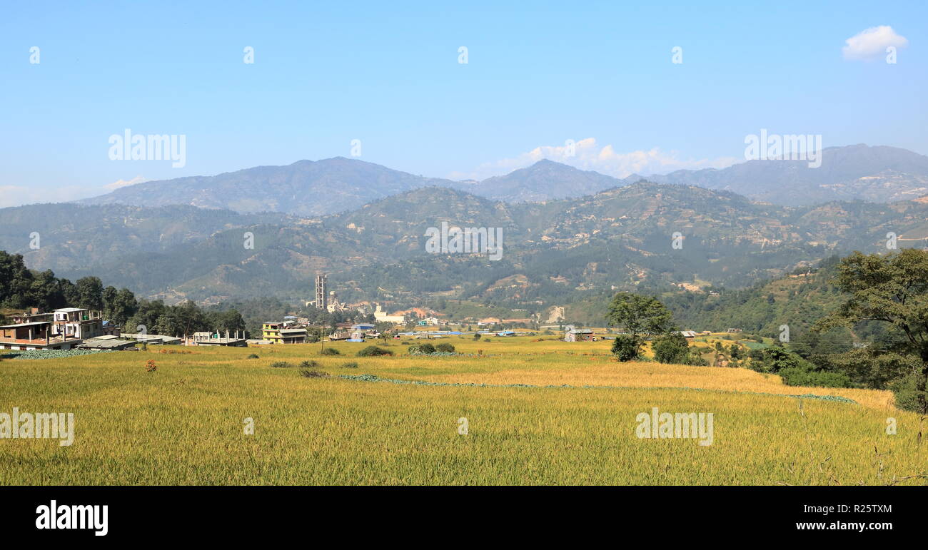 Field in the foothills of the Himalayas Stock Photo - Alamy