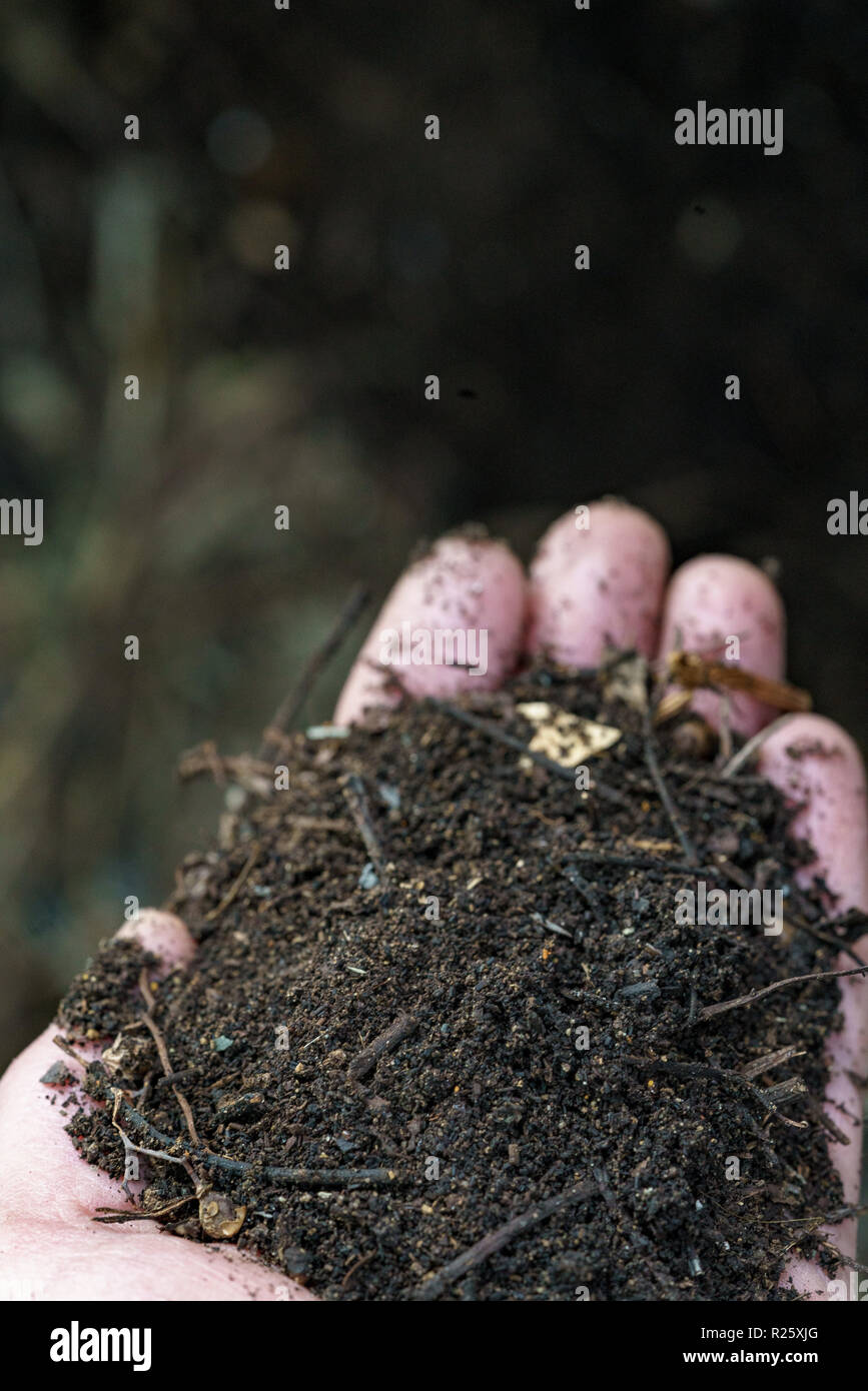 Finished compost soil hi-res stock photography and images - Alamy