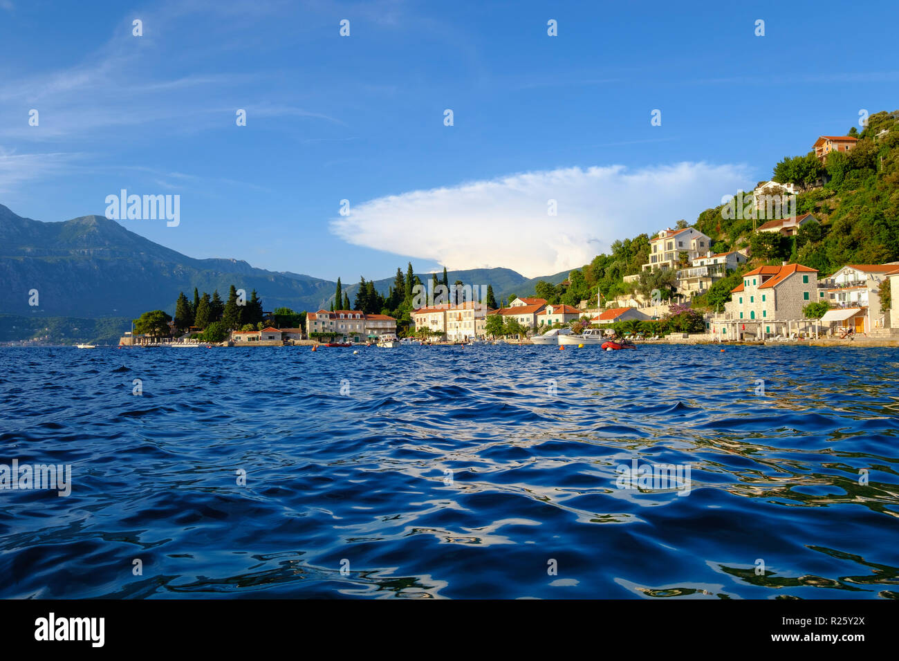 Rose montenegro hi-res stock photography and images - Alamy