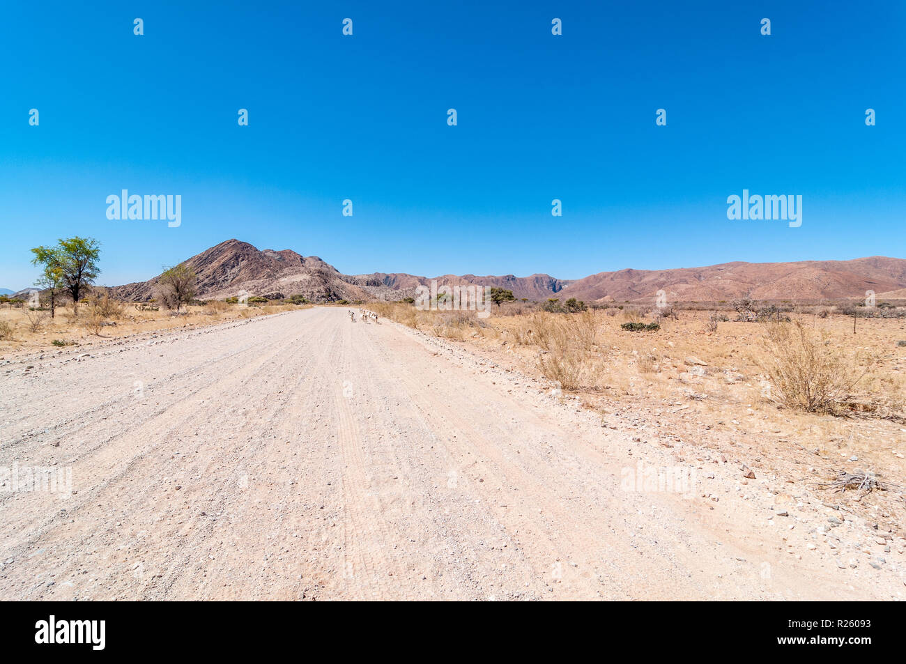 Rutted road hi-res stock photography and images - Alamy