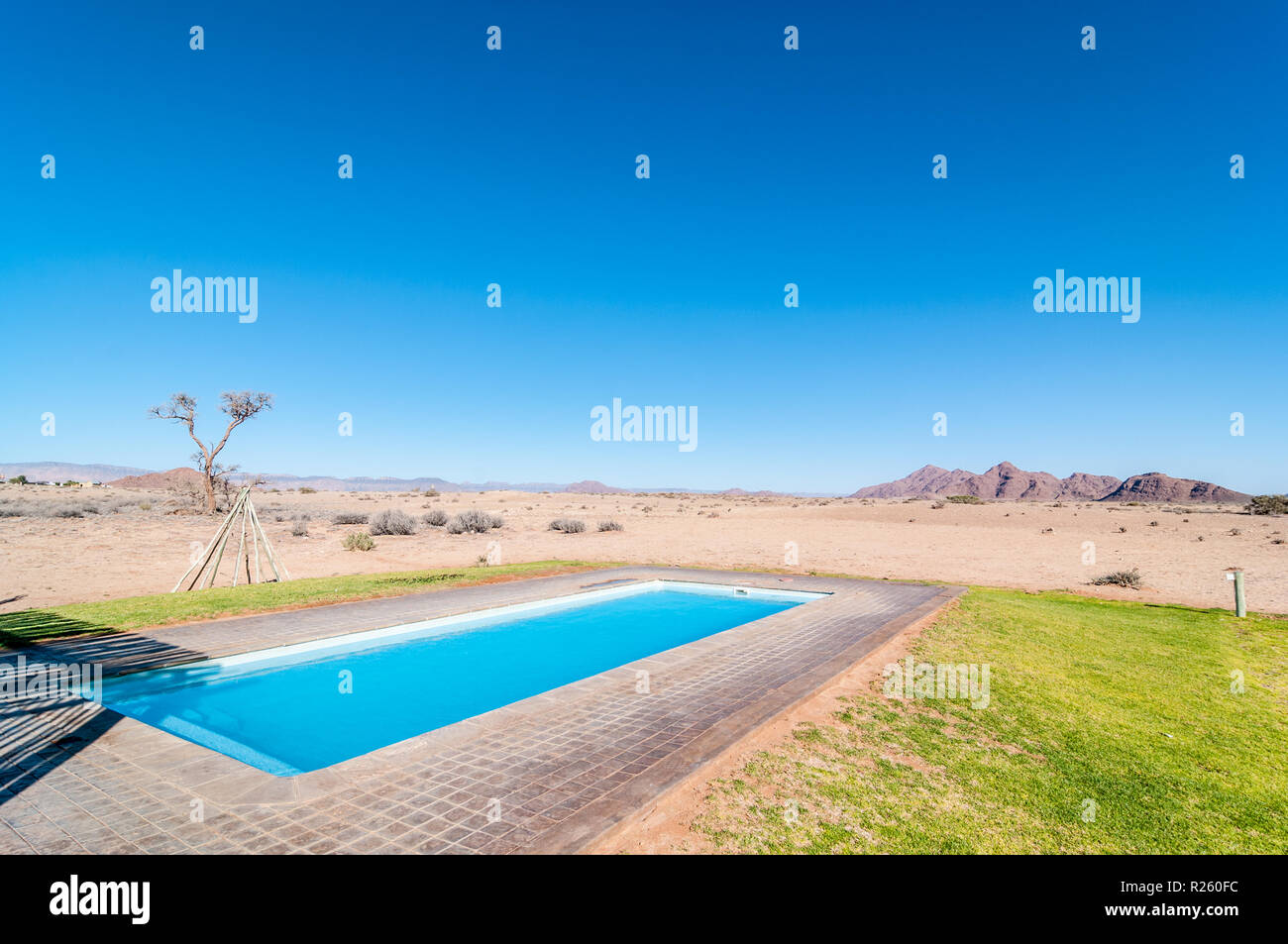 swimming pool, Sossus Oasis Campsite. Sesirem. Namibia Stock Photo - Alamy