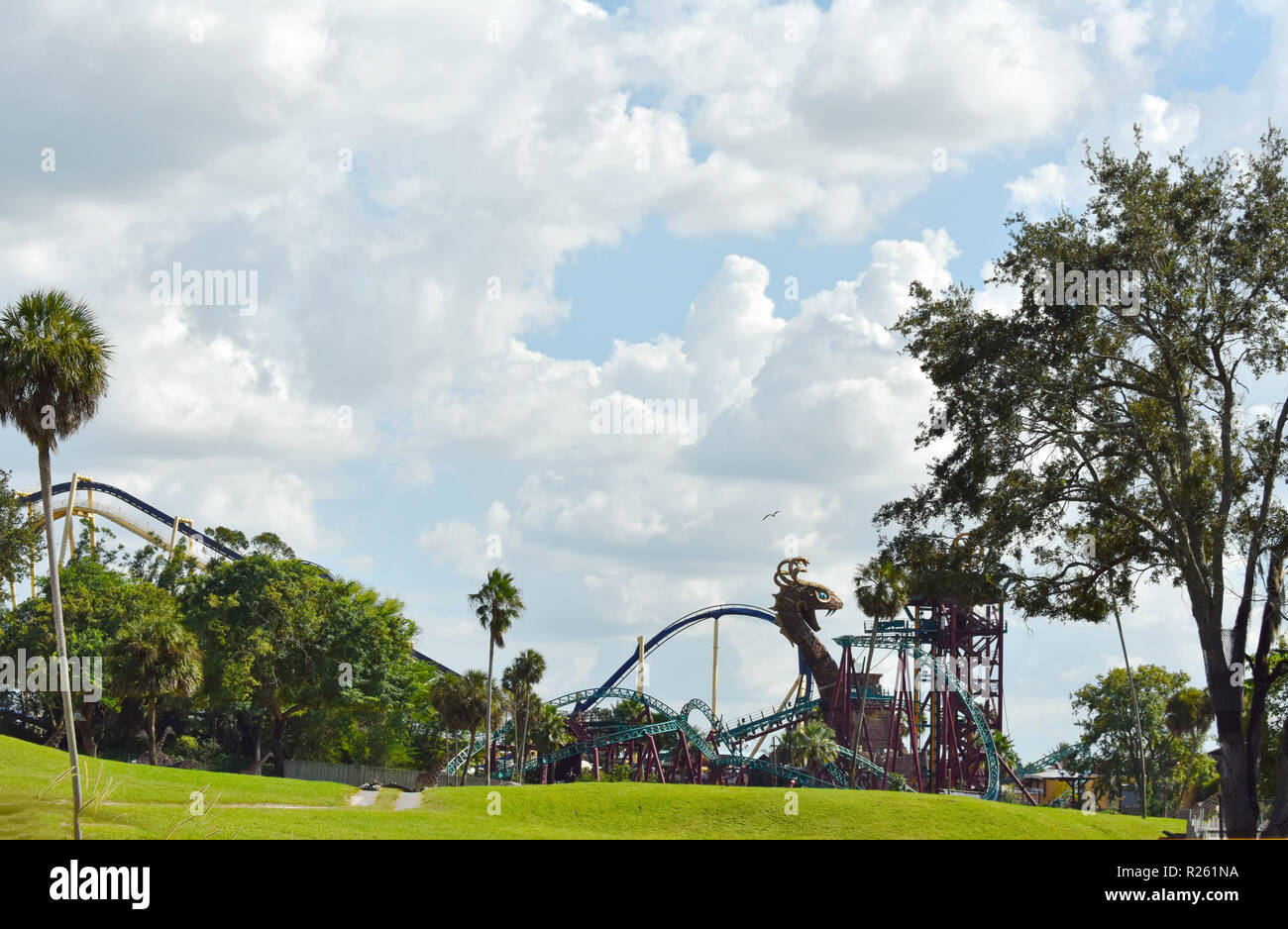 Cheetah hunt roller coaster hi-res stock photography and images - Alamy