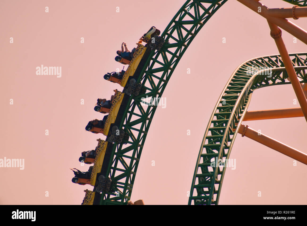 Cheetah hunt roller coaster hi-res stock photography and images - Alamy