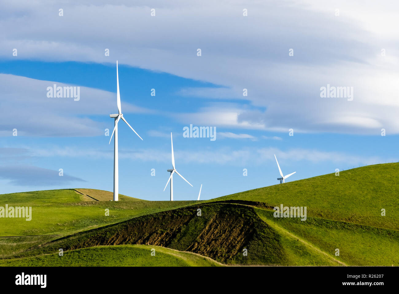Wind turbines on the hills of east San Francisco bay area, Altamont ...