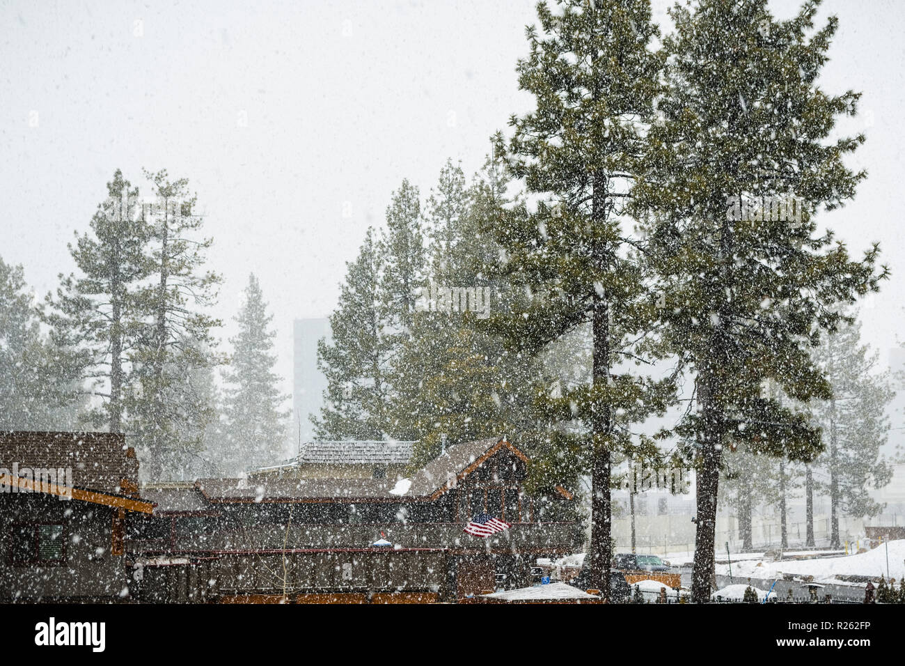 Heavy snow trees mountains hi-res stock photography and images - Alamy