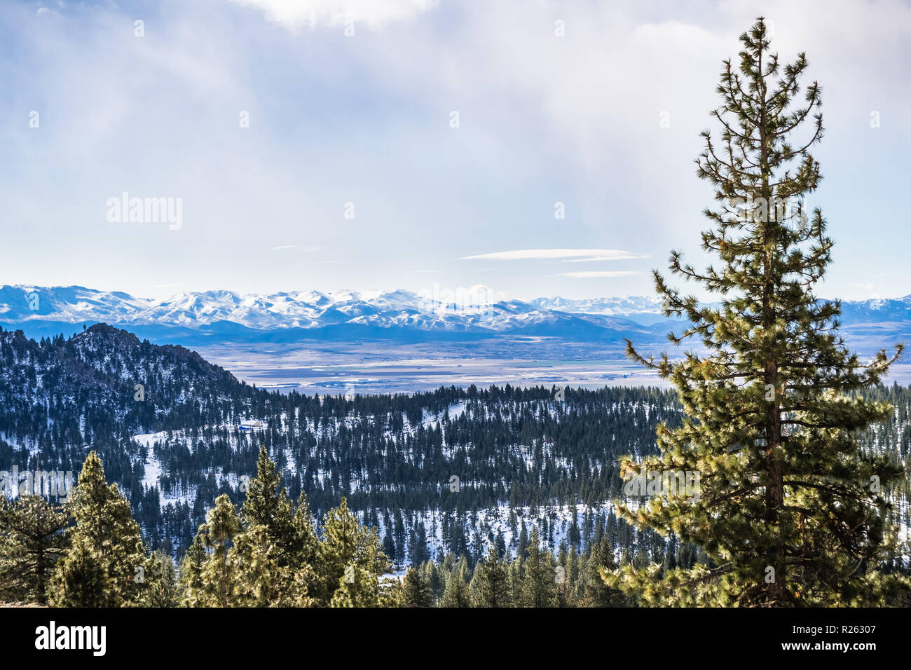 Aerial view carson city nevada hi-res stock photography and images - Alamy