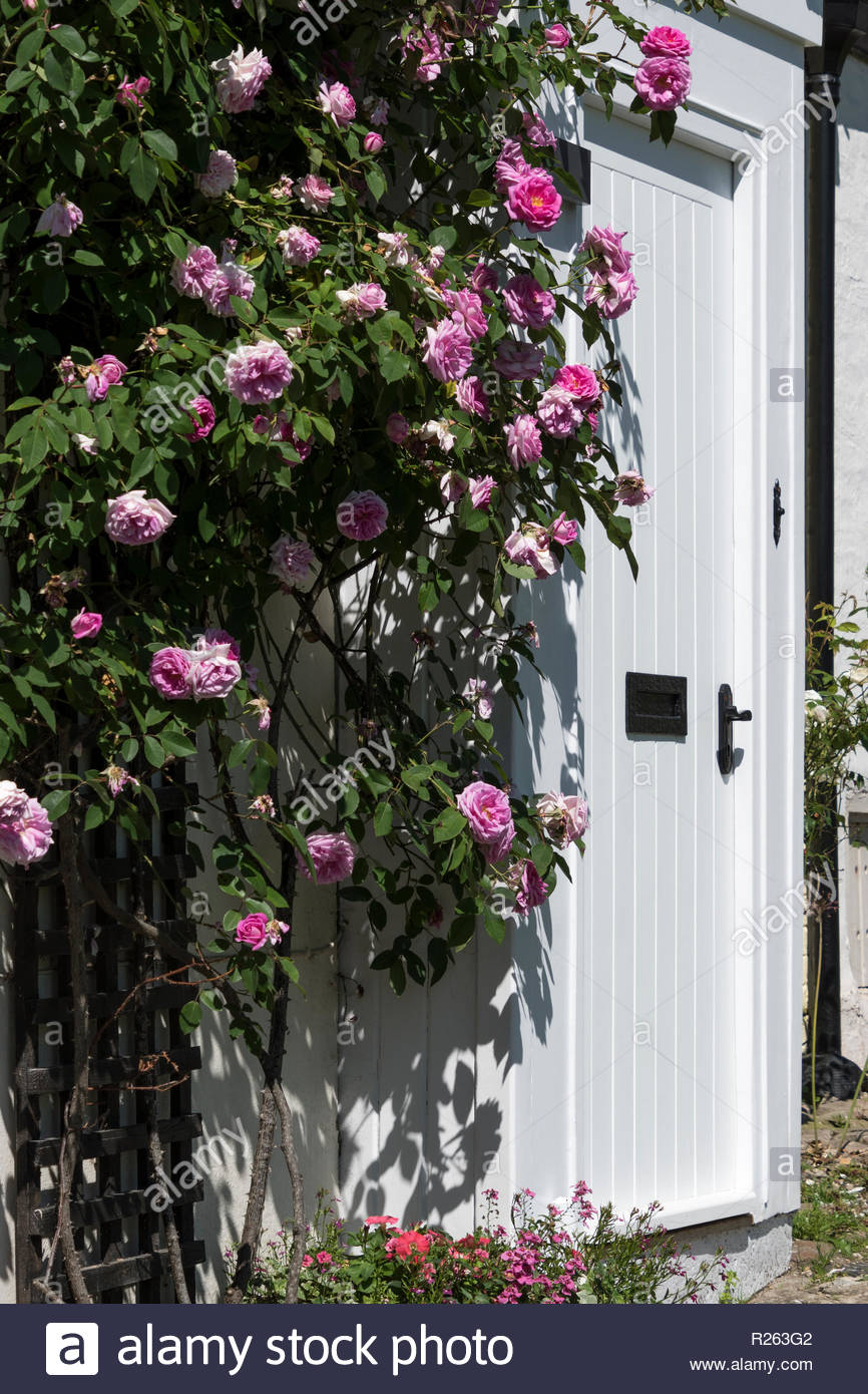 Garden Front Elevation High Resolution Stock Photography and Images - Alamy