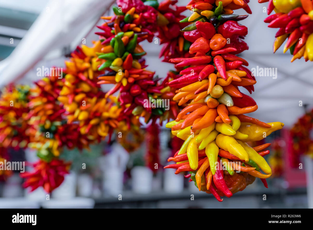 Assortment of colorful chili pepper ristras and wreath hanging at the ...
