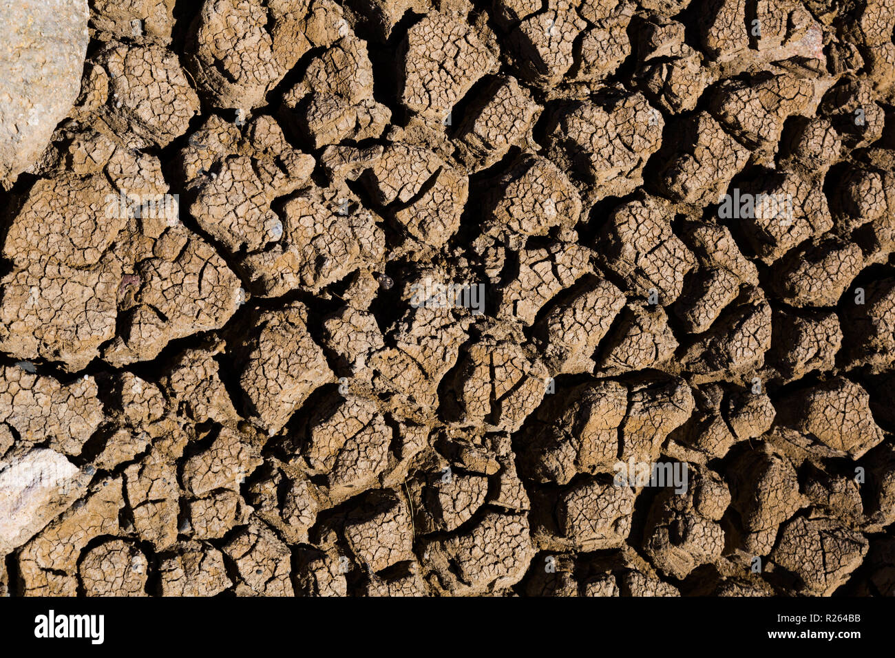 Close-up view of dry cracked ground in droughty area under hot sun ...