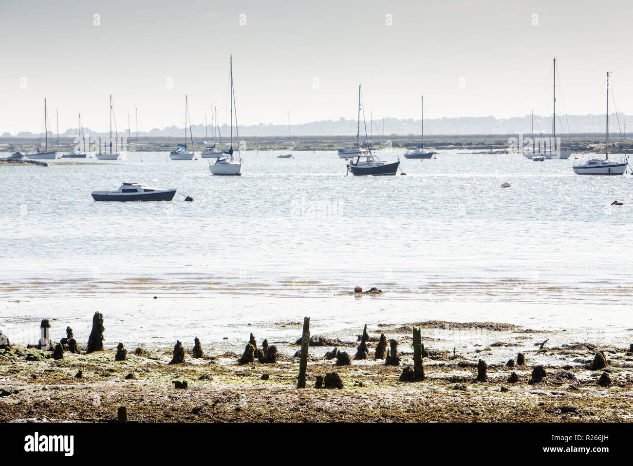 landscape imge of boats on the sea taken from west mersea in essex ...