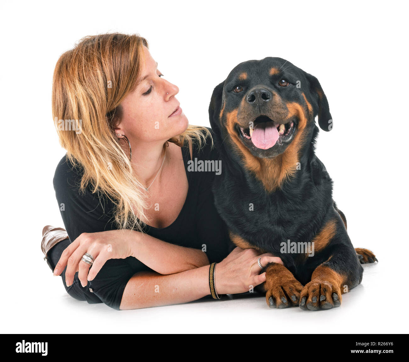 Woman large dog Cut Out Stock Images & Pictures - Alamy