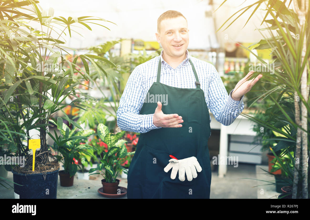 Male gardener is standing near plants in orangery Stock Photo - Alamy