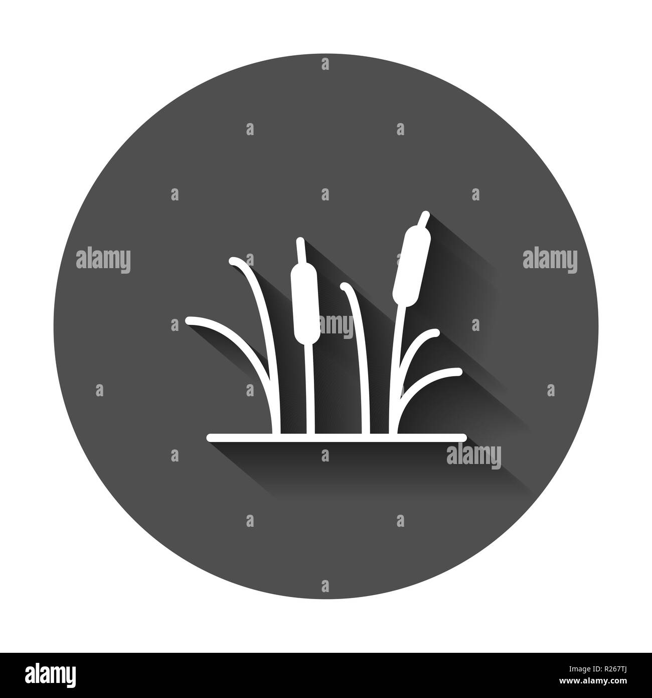 Reeds grass icon in flat style. Bulrush swamp vector illustration with ...