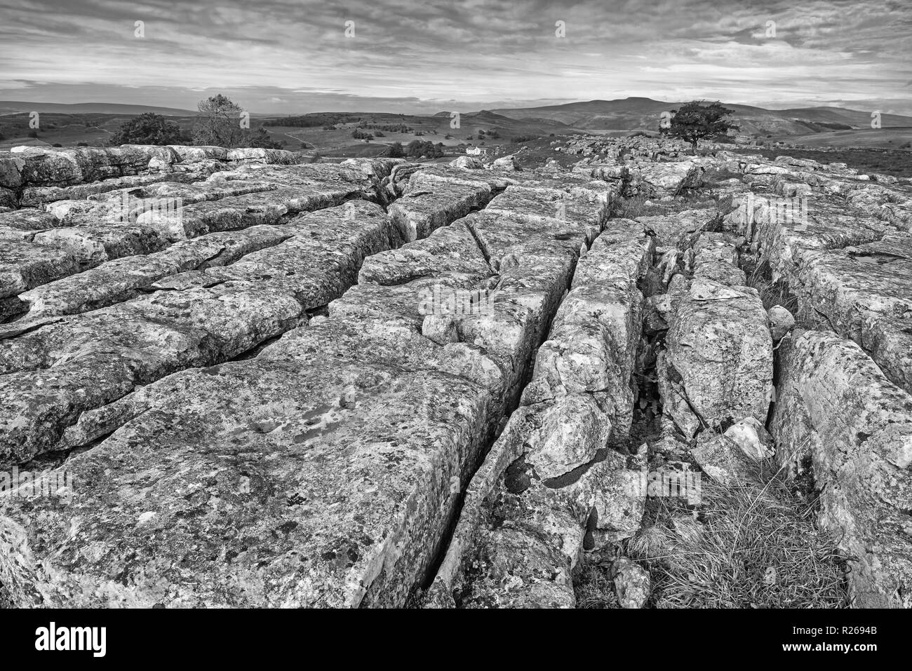Limestone Country,North Yorkshire Stock Photo - Alamy