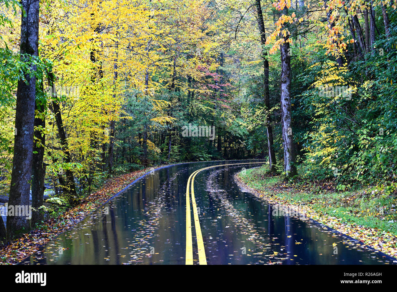 An autumn road in Great Smoky Mountains provides a beautiful view of ...
