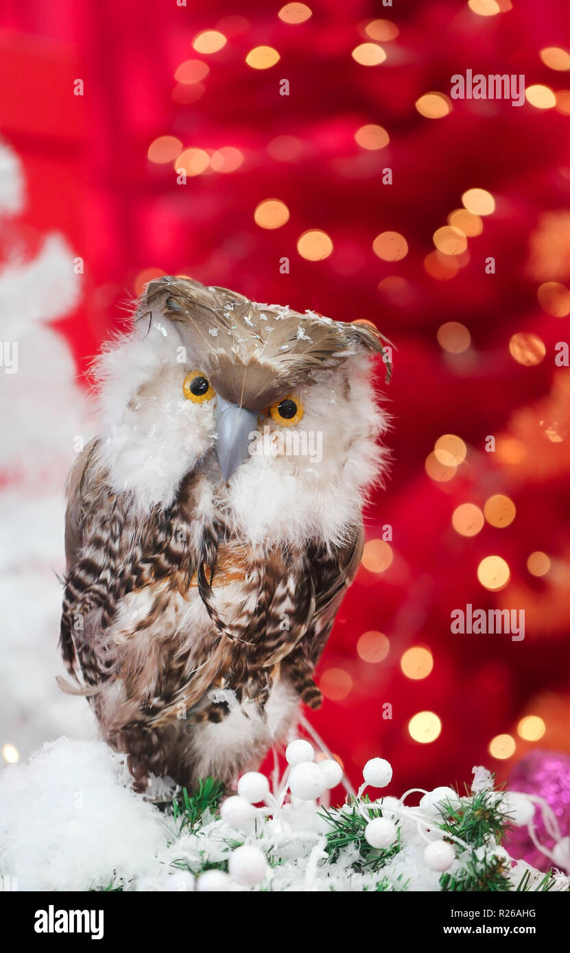 Zoo christmas animal hi-res stock photography and images - Alamy