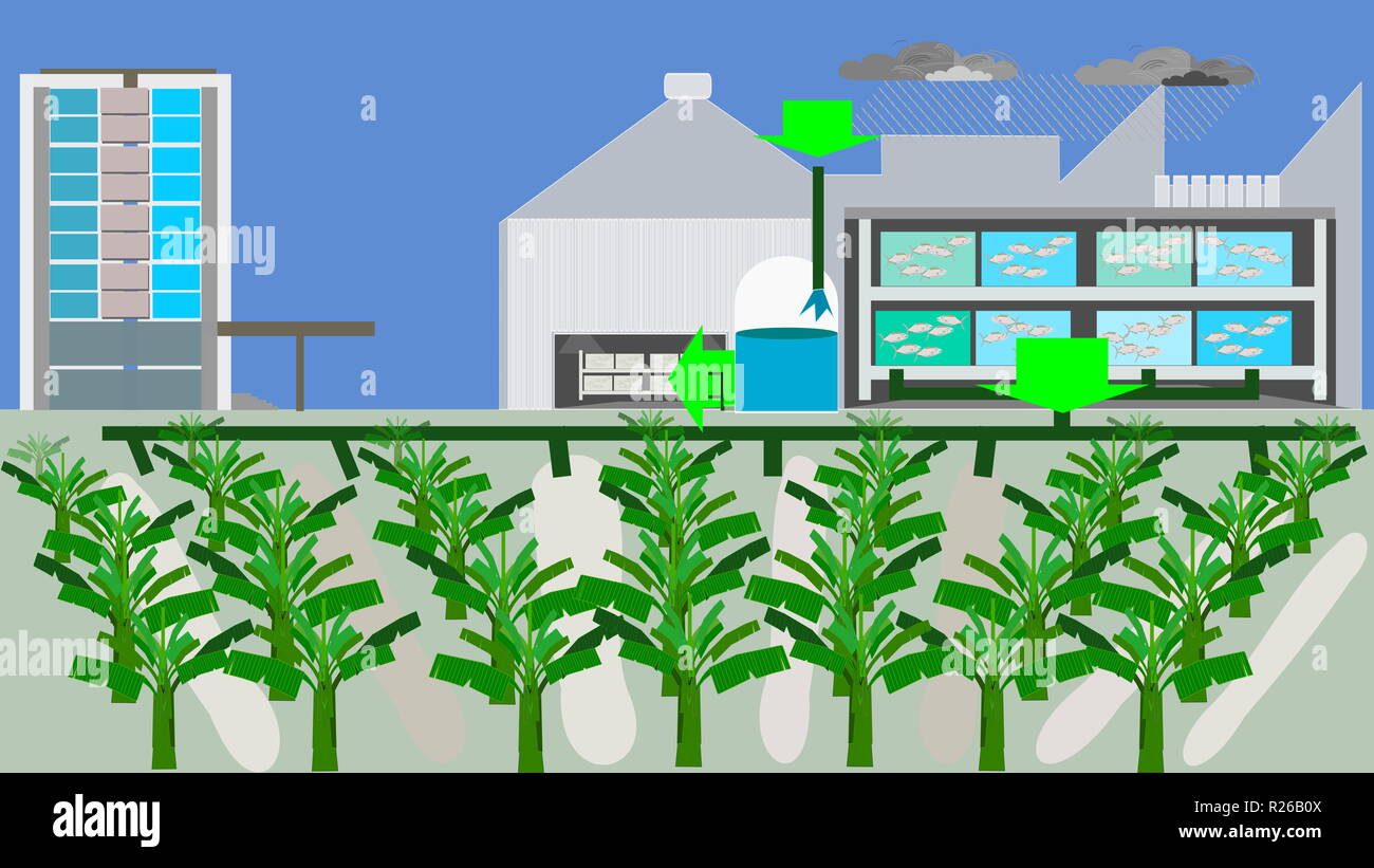 Rainwater harvesting, water supply and food production Stock Photo - Alamy