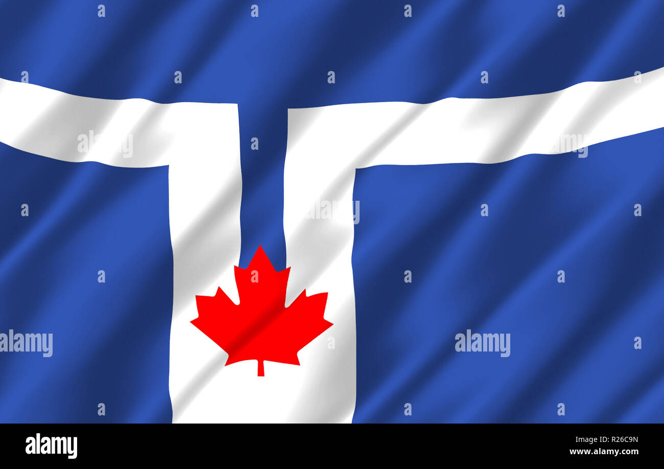 Toronto Flag 3D waving flag illustration. Texture can be used as ...