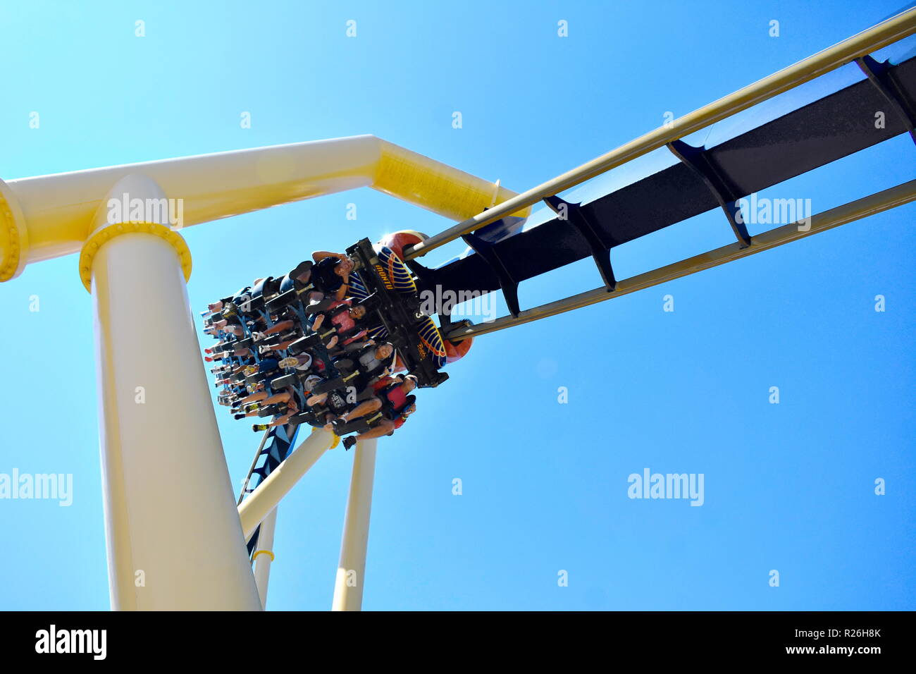 Hippopotamus tracks hi-res stock photography and images - Alamy