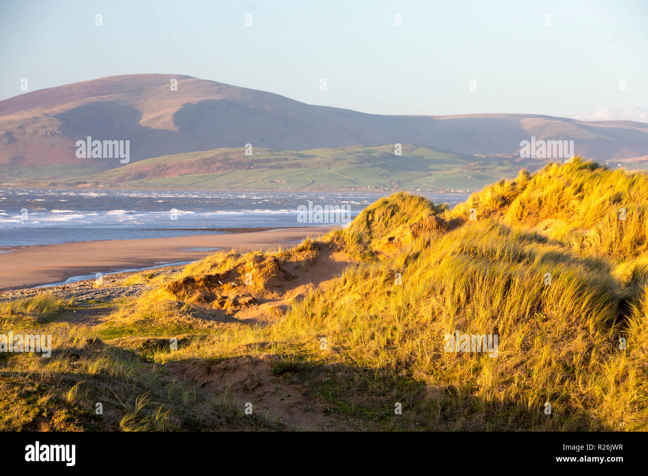 Barrow hill nature reserve hi-res stock photography and images - Alamy