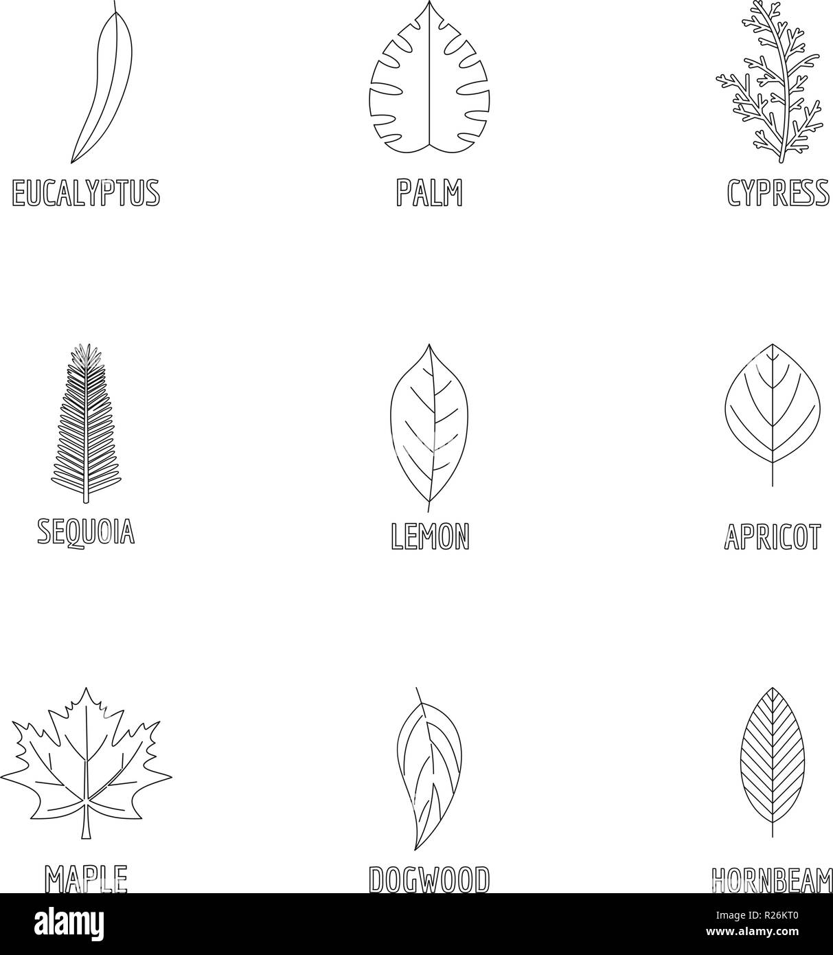 Leaf structure icons set. Outline set of 9 leaf structure vector icons ...