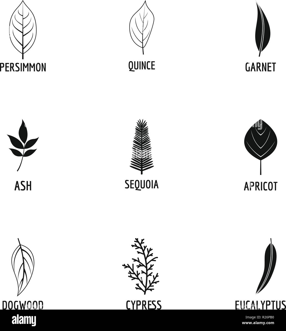 Leave icons set. Simple set of 9 leave vector icons for web isolated on ...