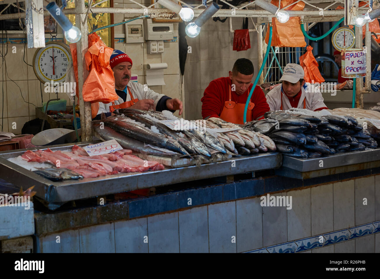 Fresh seafood for sale in the historic main fish market in the centre ...
