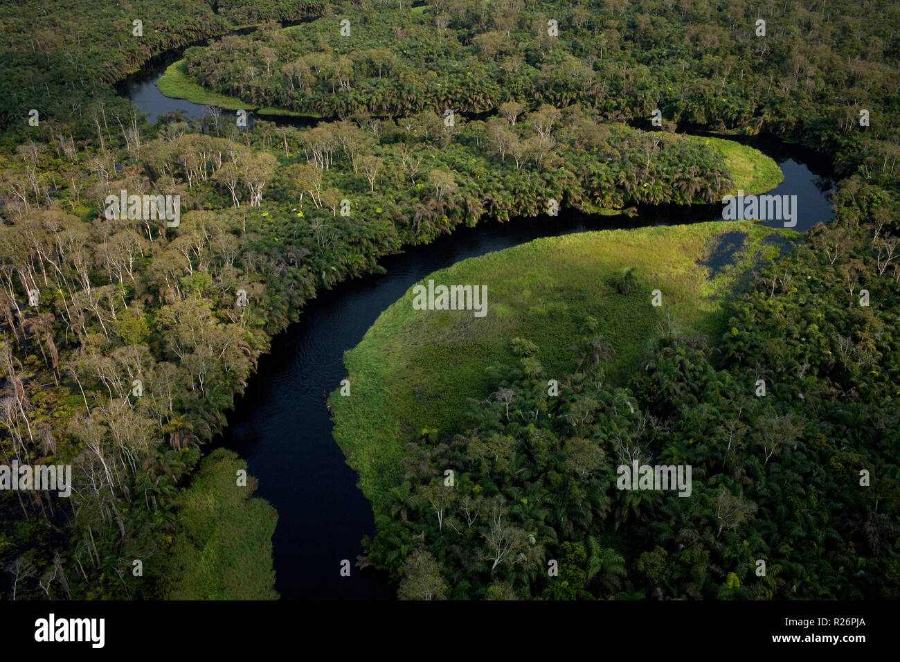 Congo rainforest aerial hi-res stock photography and images - Alamy