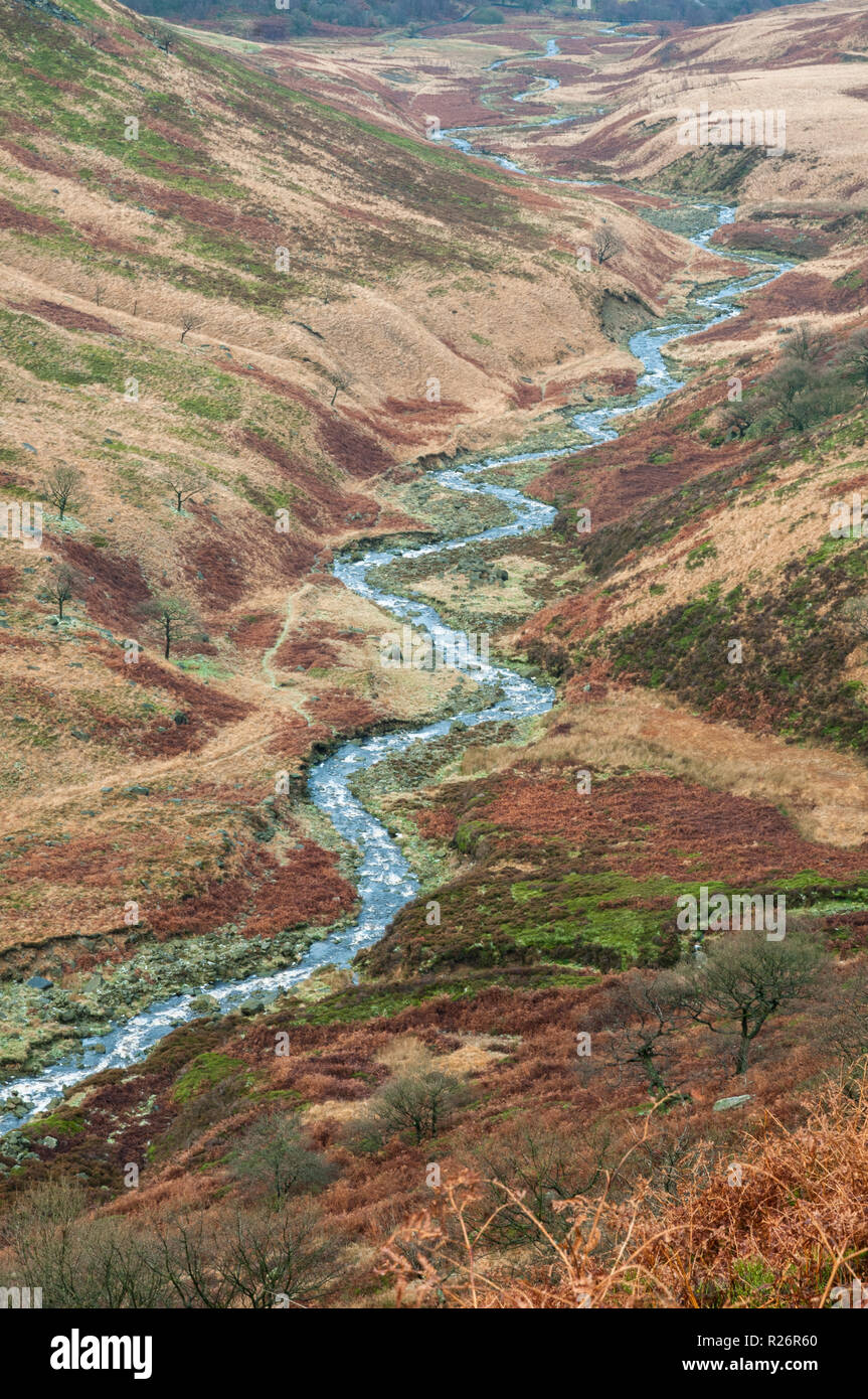 Crowden Great Brook in the Crowden Valley, Peak District National Park ...