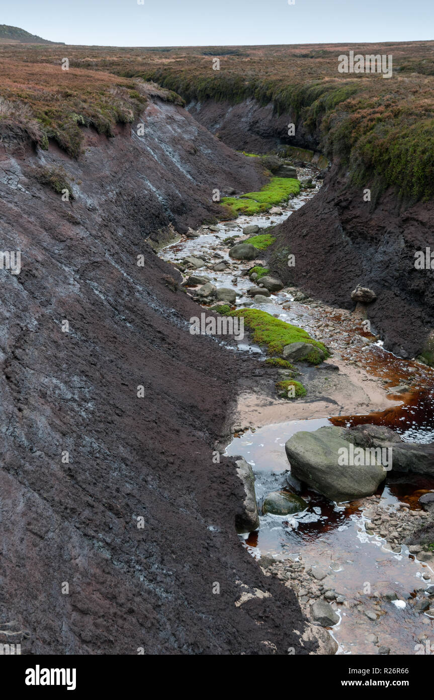 Deep erosion channel (grough) on Howden Moor, Peak District National ...