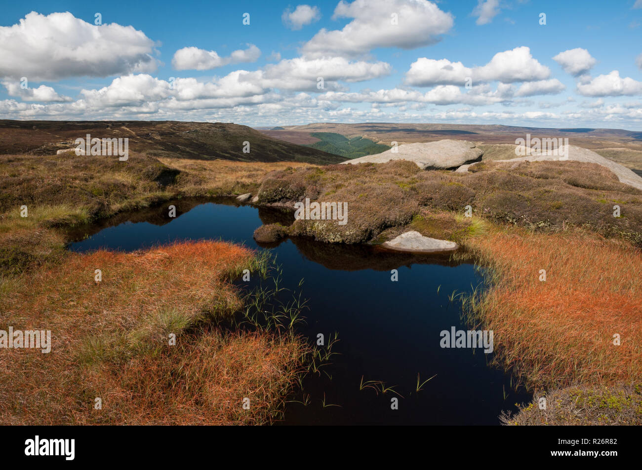 Bog pool on the Kinder Scout plateau and views across to Bleaklow, Peak ...