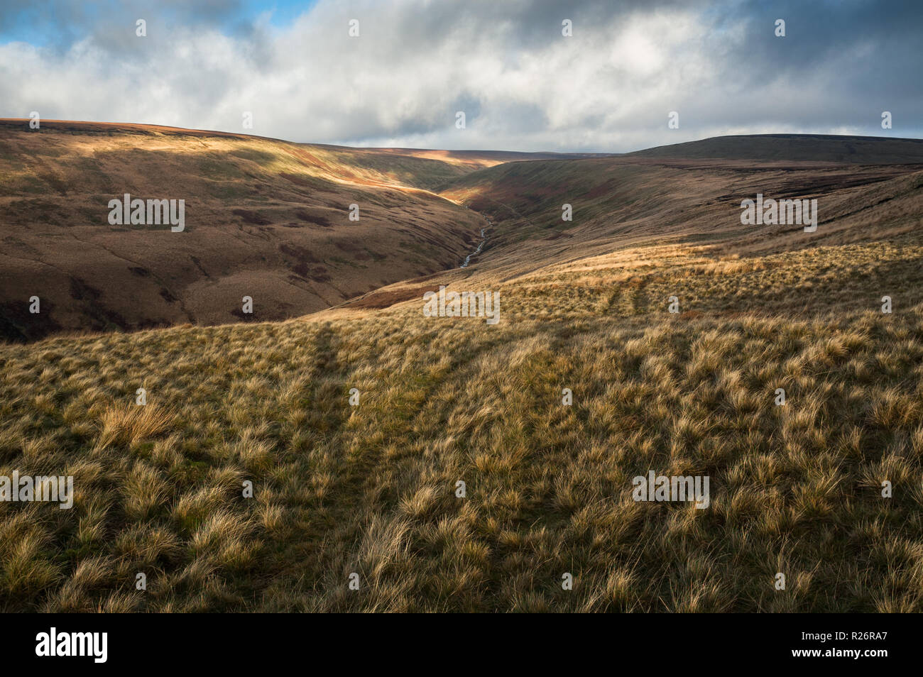 Crowden Little Brook between Bareholme Moss and Westend Moss, Peak ...