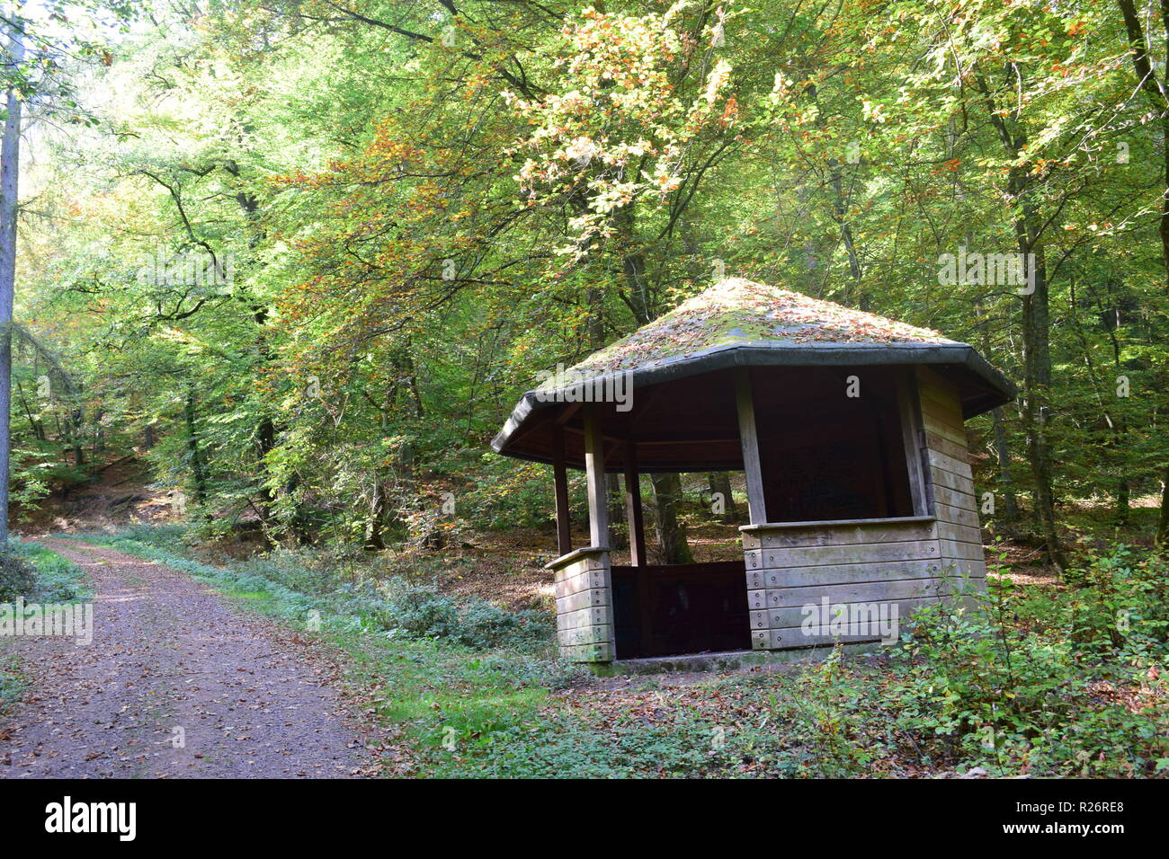 A wooden hut, a resting place during day hiking in the autumn forest at ...