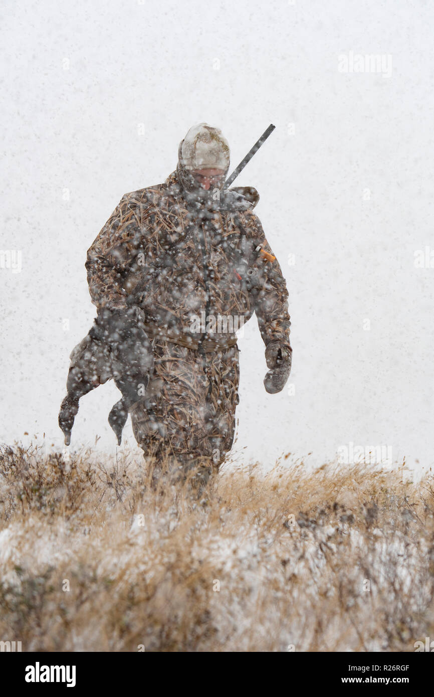 A duck hunter and his dog in a snow storm Stock Photo - Alamy