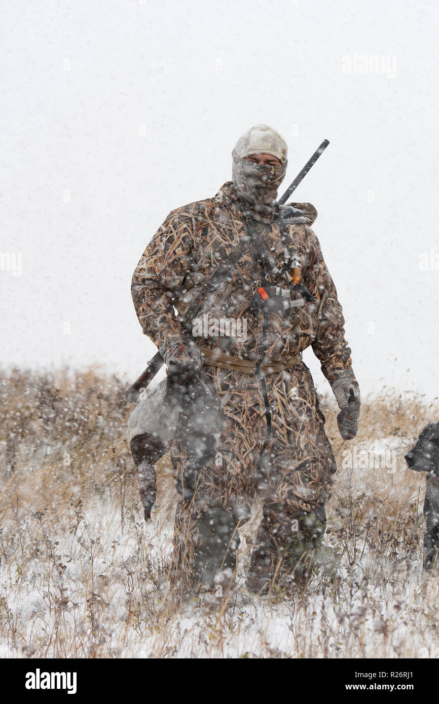 A duck hunter and his dog in a snow storm Stock Photo - Alamy
