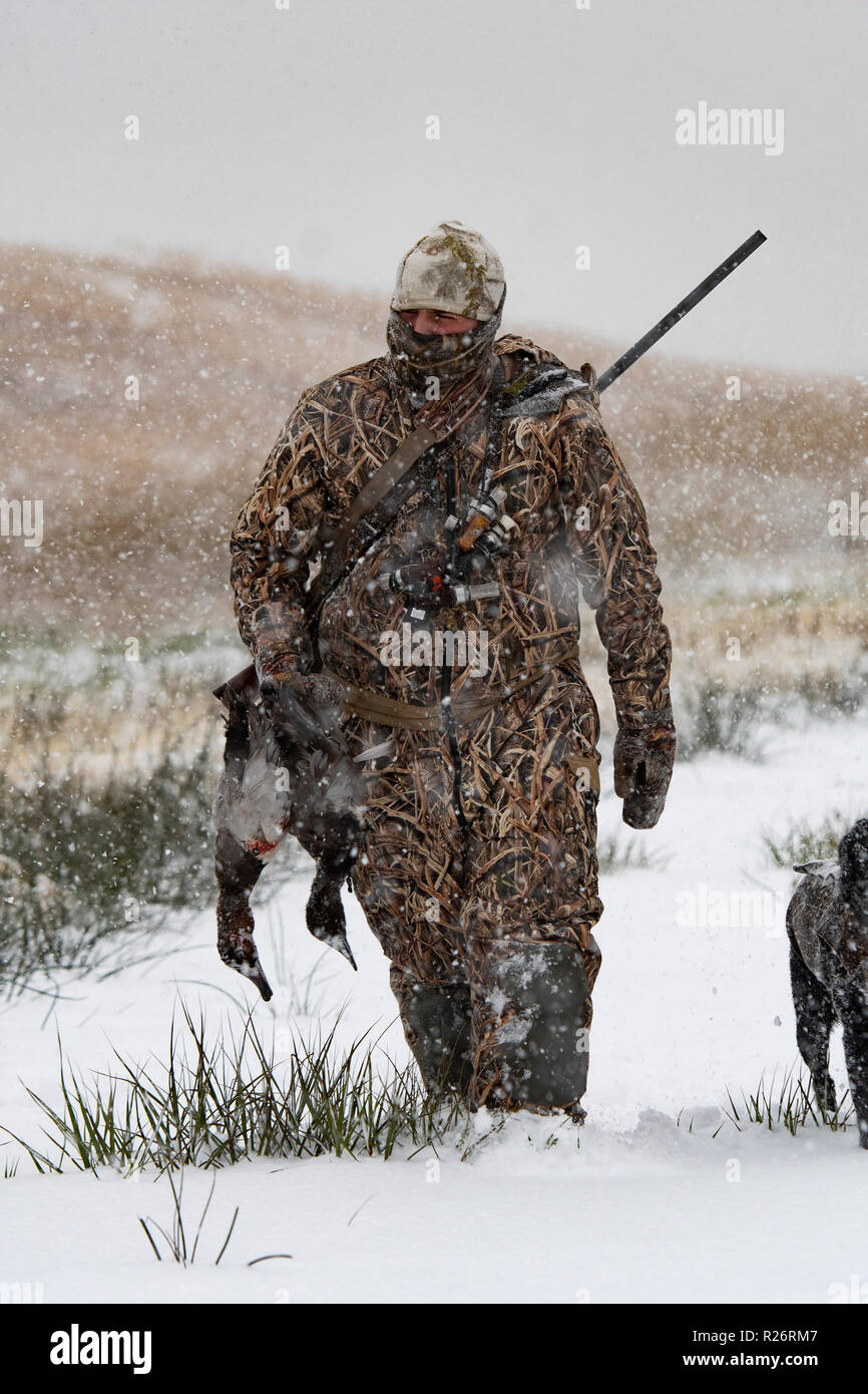 A duck hunter and his dog in a snow storm Stock Photo - Alamy