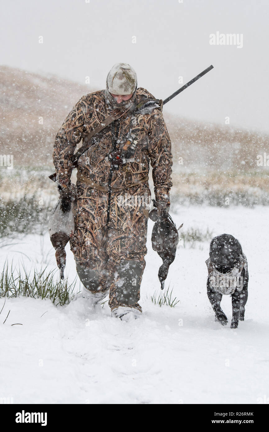 A duck hunter and his dog in a snow storm Stock Photo - Alamy