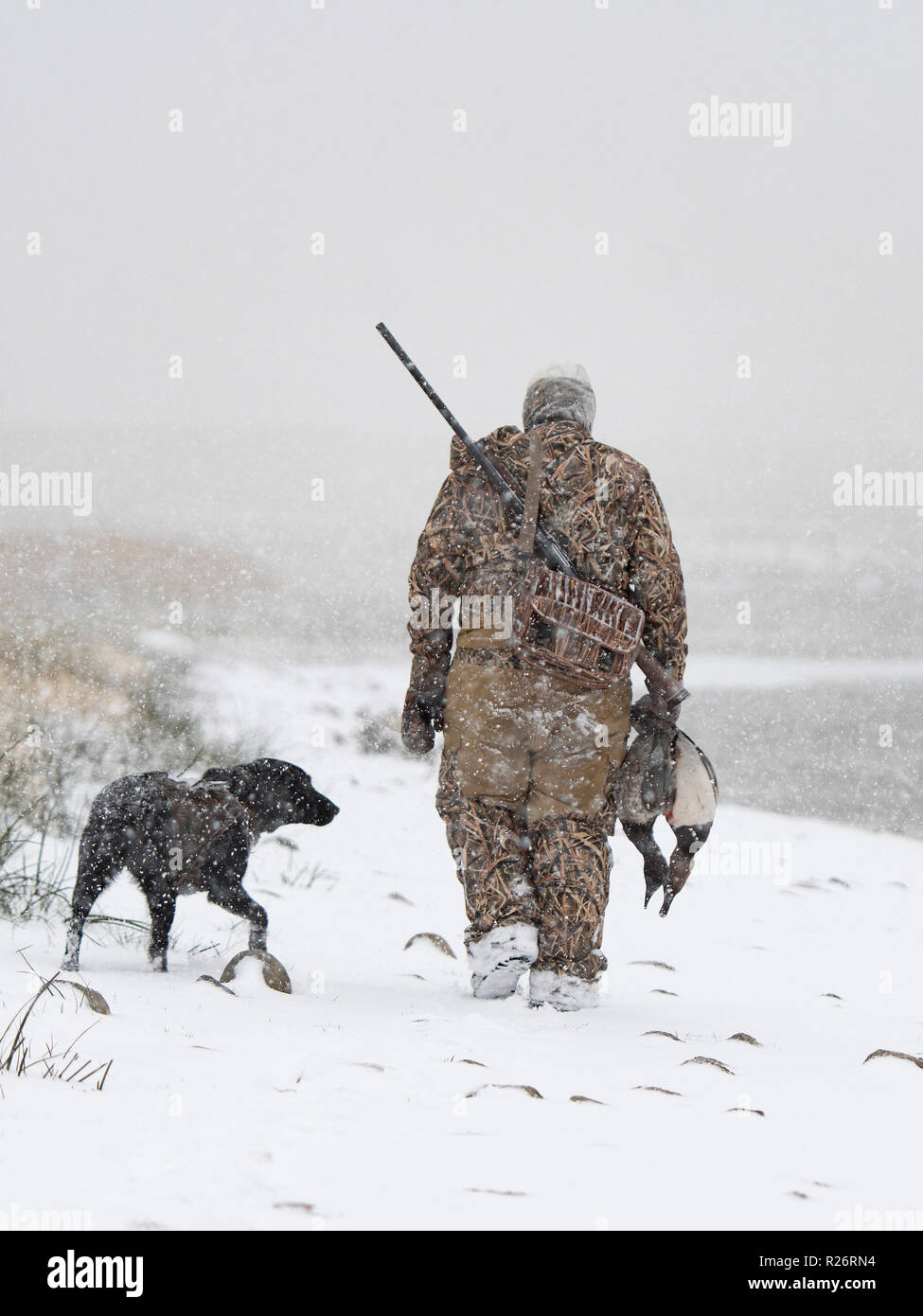 A duck hunter and his dog in a snow storm Stock Photo - Alamy