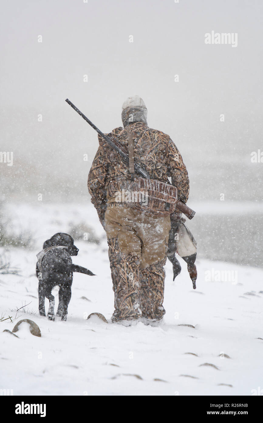 A duck hunter and his dog in a snow storm Stock Photo - Alamy