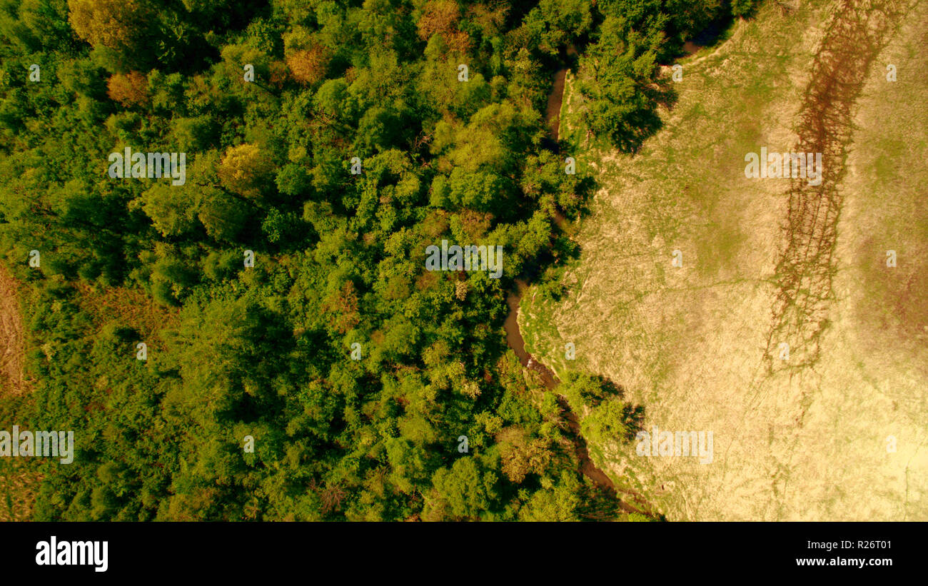 Summer prairie green yellow natural scenery hi-res stock photography ...