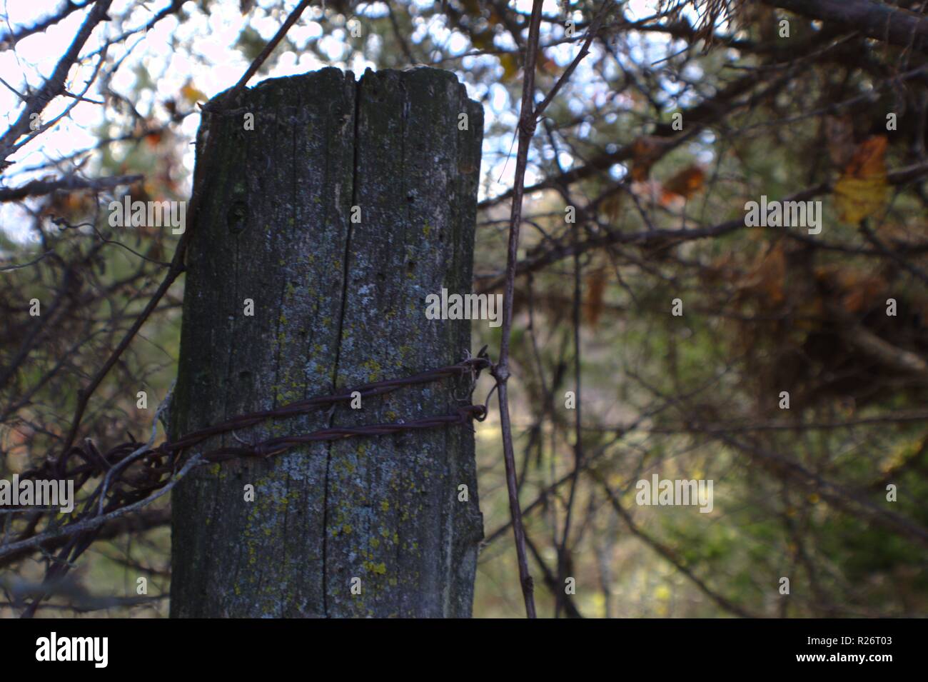 Fence Post in Wonder Stock Photo - Alamy