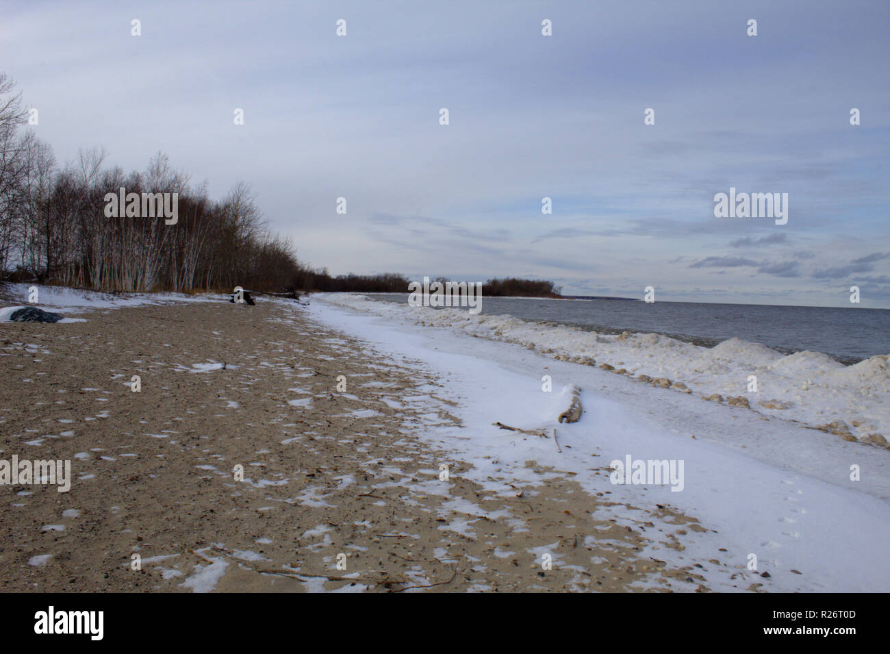 Green trees at shore line hi-res stock photography and images - Alamy