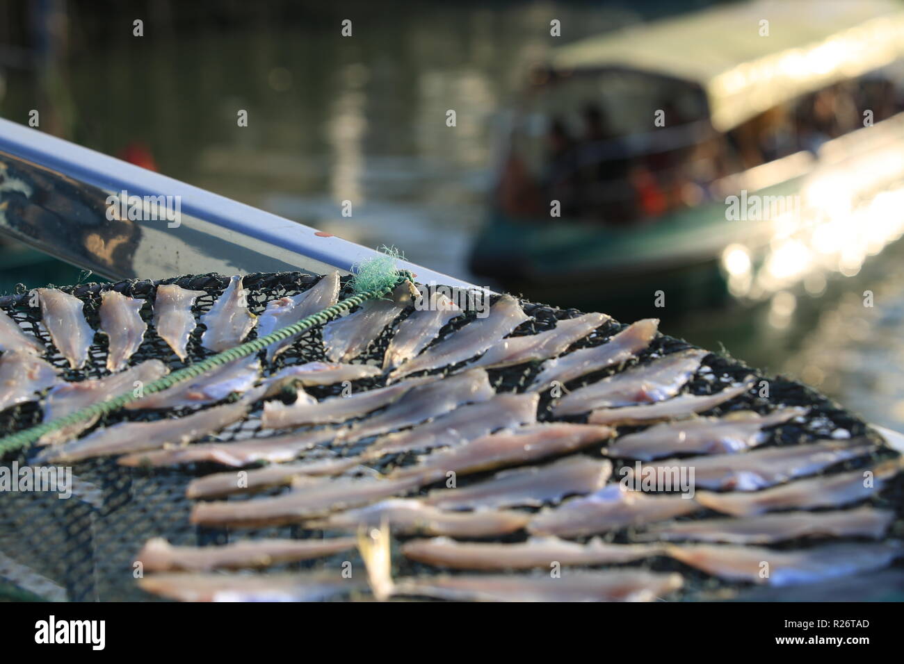 salted fish display in chinese village Stock Photo - Alamy
