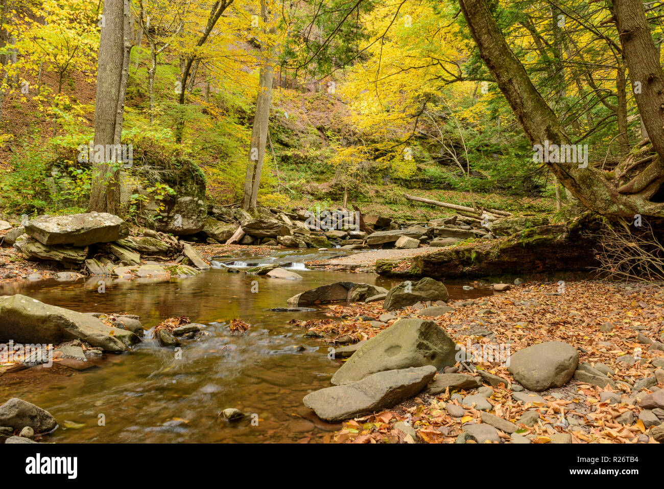 Autumn in Catskill Mountains Stock Photo - Alamy