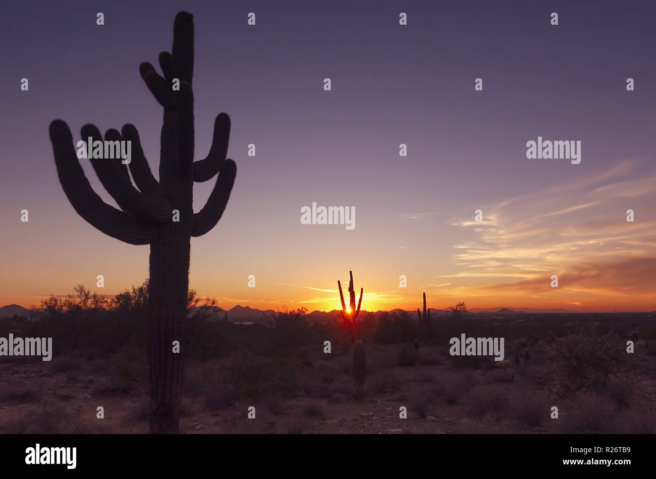 Arizona desert sunset hi-res stock photography and images - Alamy