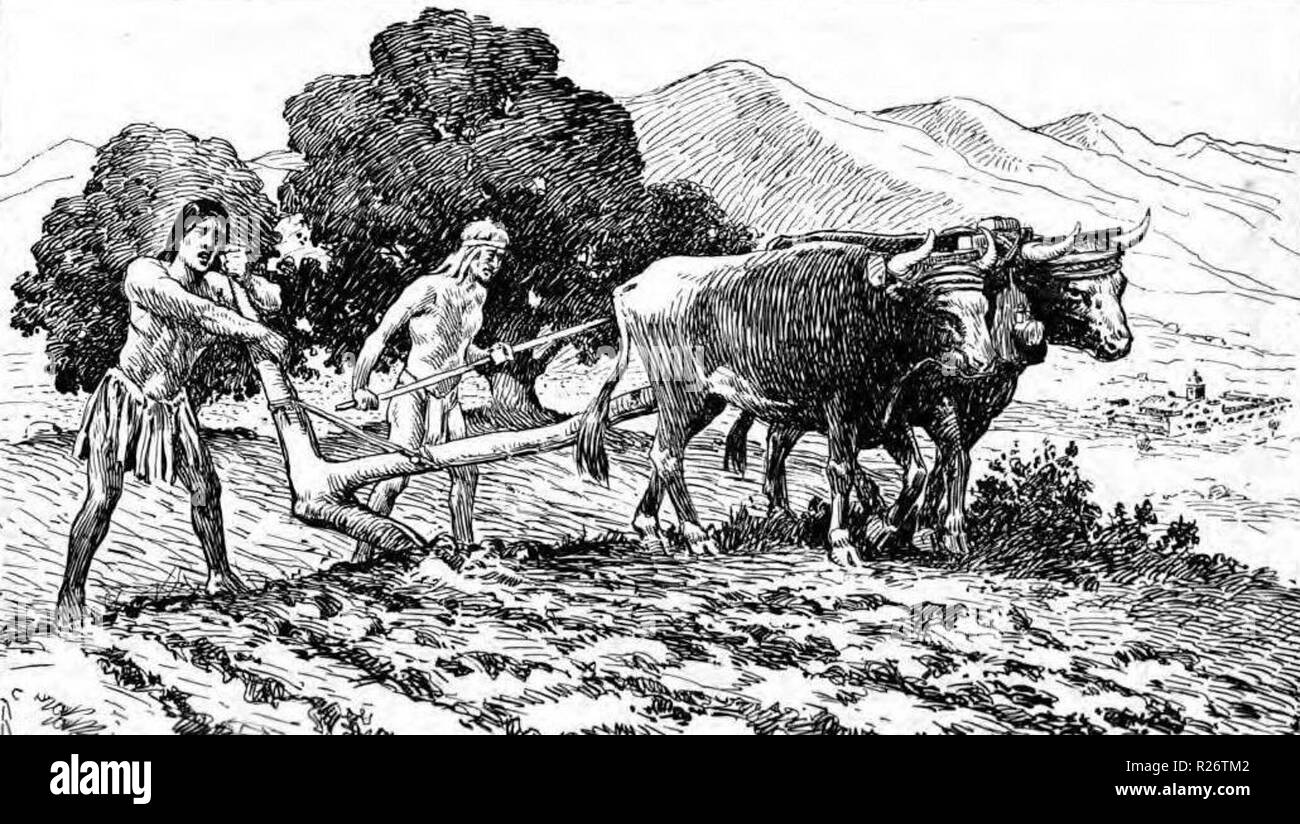 Natives utilize a primitive plow Stock Photo - Alamy